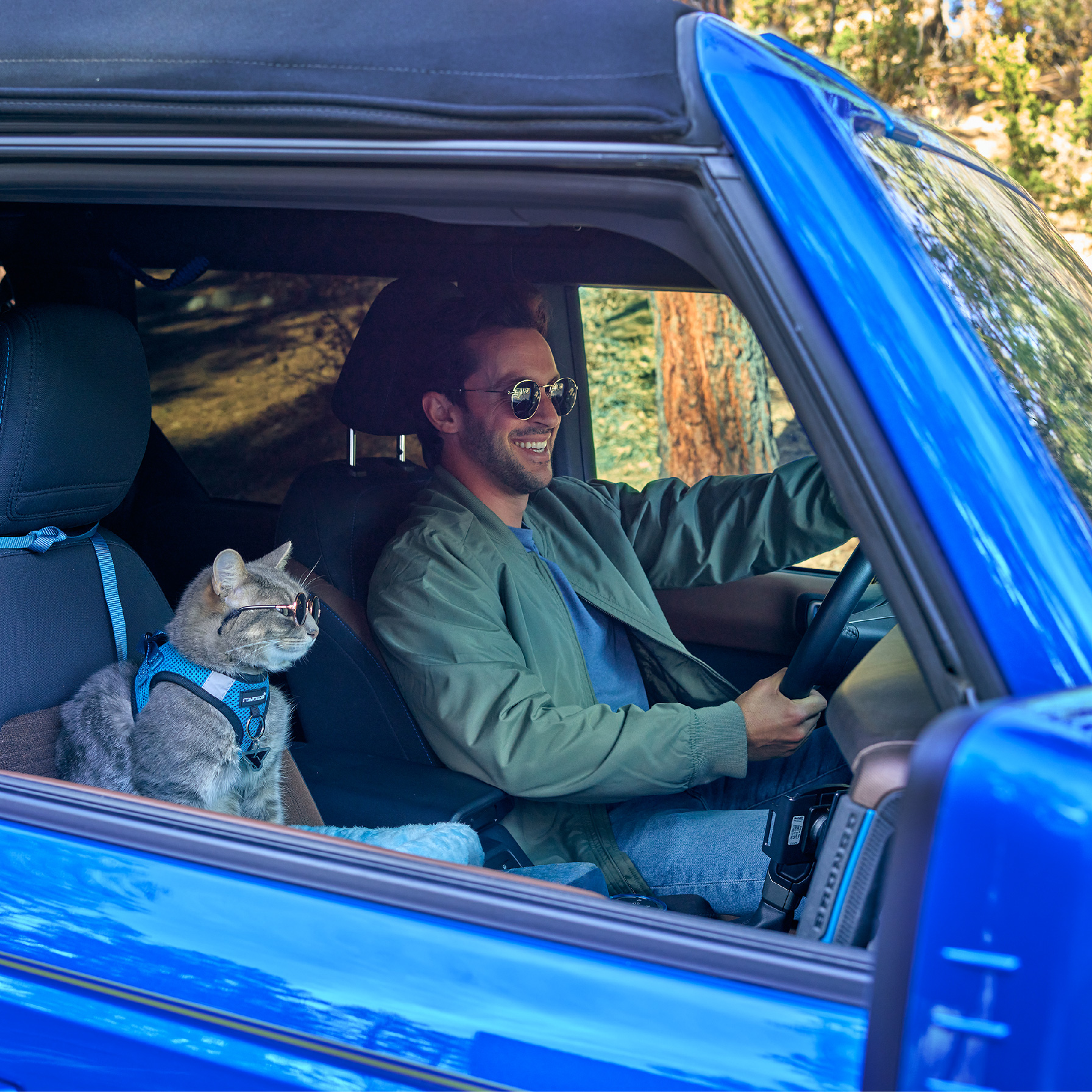 Auto Loans | Apply for a Great Auto Loan Rate Today | GECU